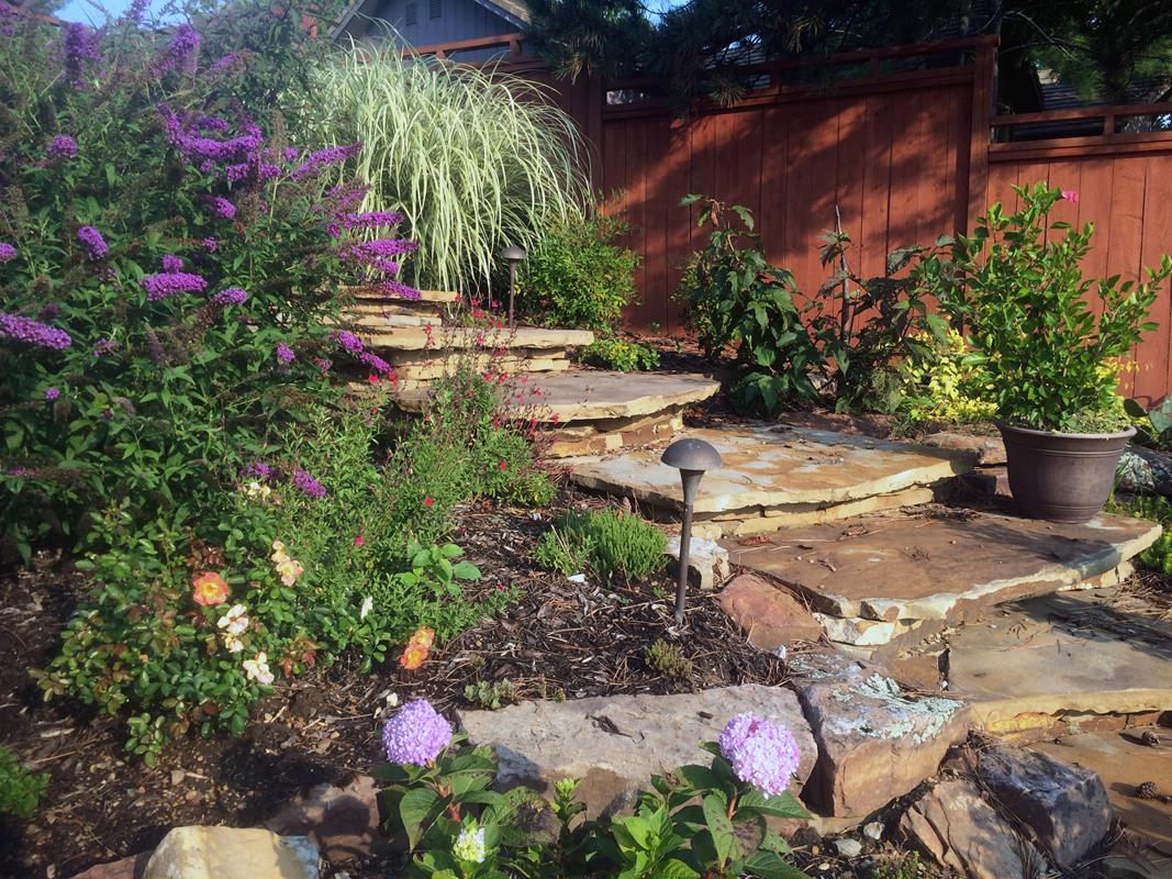 Recent Projects – Low Maintenance Landscape