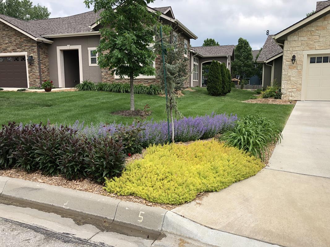 Recent Projects – Low Maintenance Landscape