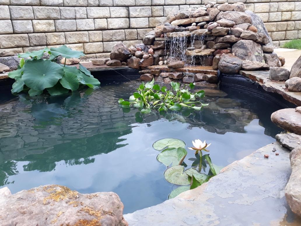 Recent Projects – Low Maintenance Landscape